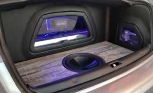 TESLA | Apex Customs